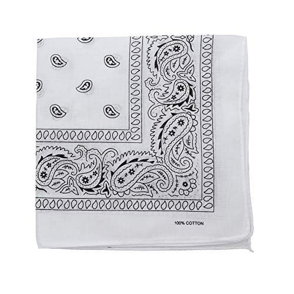 Large 100% Cotton Paisley Bandanas (22 inch x 22 inch) -, Dark Brown ...