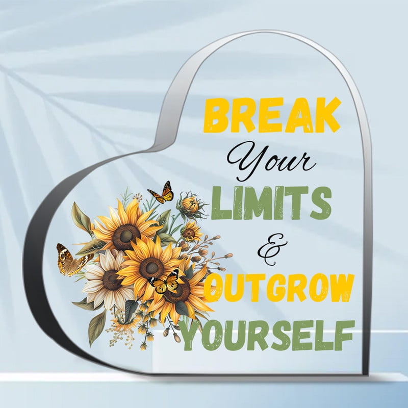 Motivational Gifts Inspirational Clear Desk Decorative Sign Break Your ...