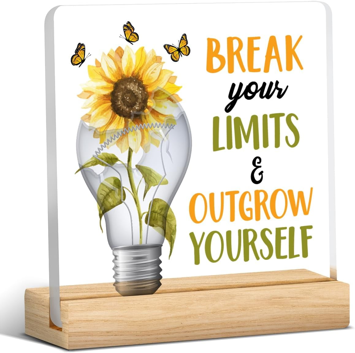 Motivational Gifts Inspirational Clear Desk Decorative Sign Break Your ...