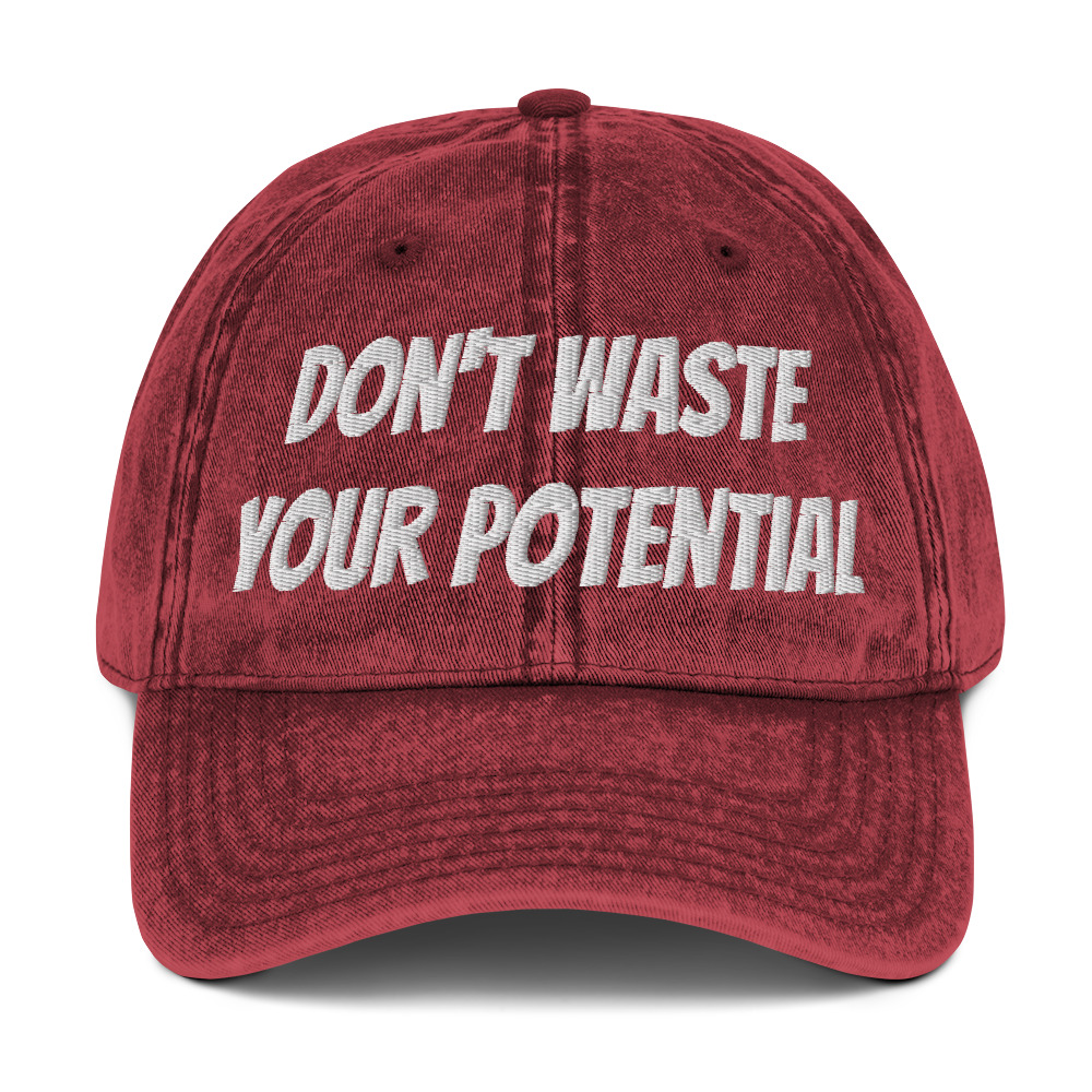 Motivational Quote Embroidered Vintage Cap, Don't Waste Your Potential ...