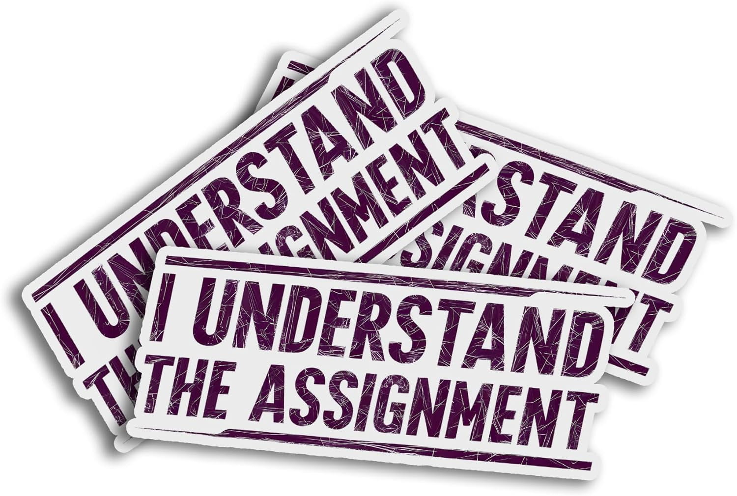 Motivational Quote I Understand The Assignment Stickers for Water ...