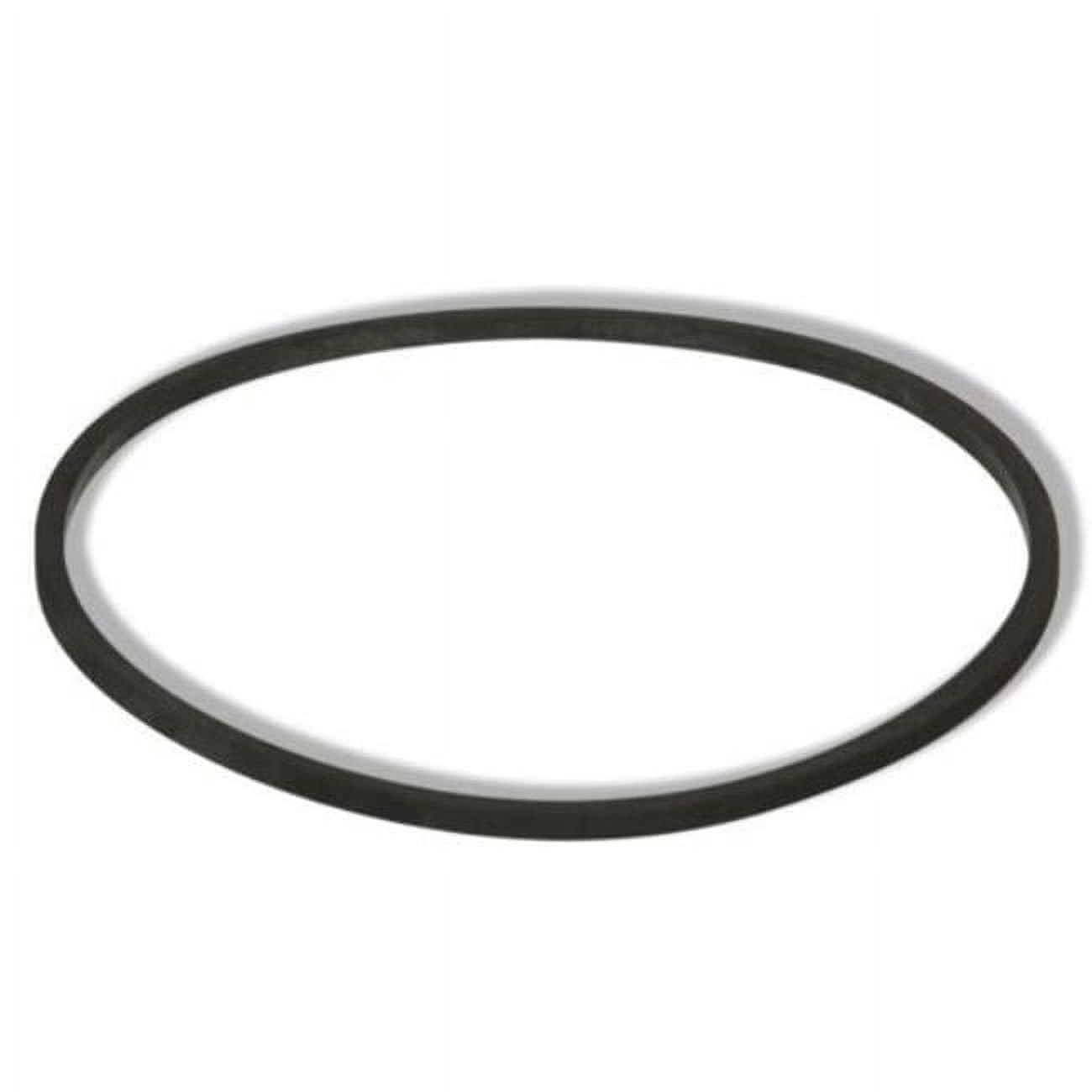 Motor Guard MOT-10610 Rubber O-Ring for Canister - Walmart.com
