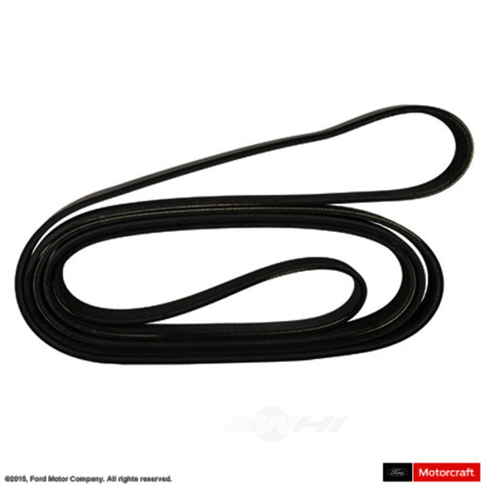 Motorcraft Multi-Rib Serpentine Belt Drive Belt Fits select: 2015-2019 ...