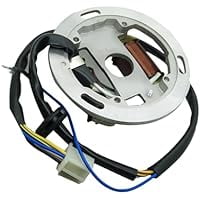 Motorcycle Ignition Coil with Stator Plate, Applicable to 2-Stroke ...