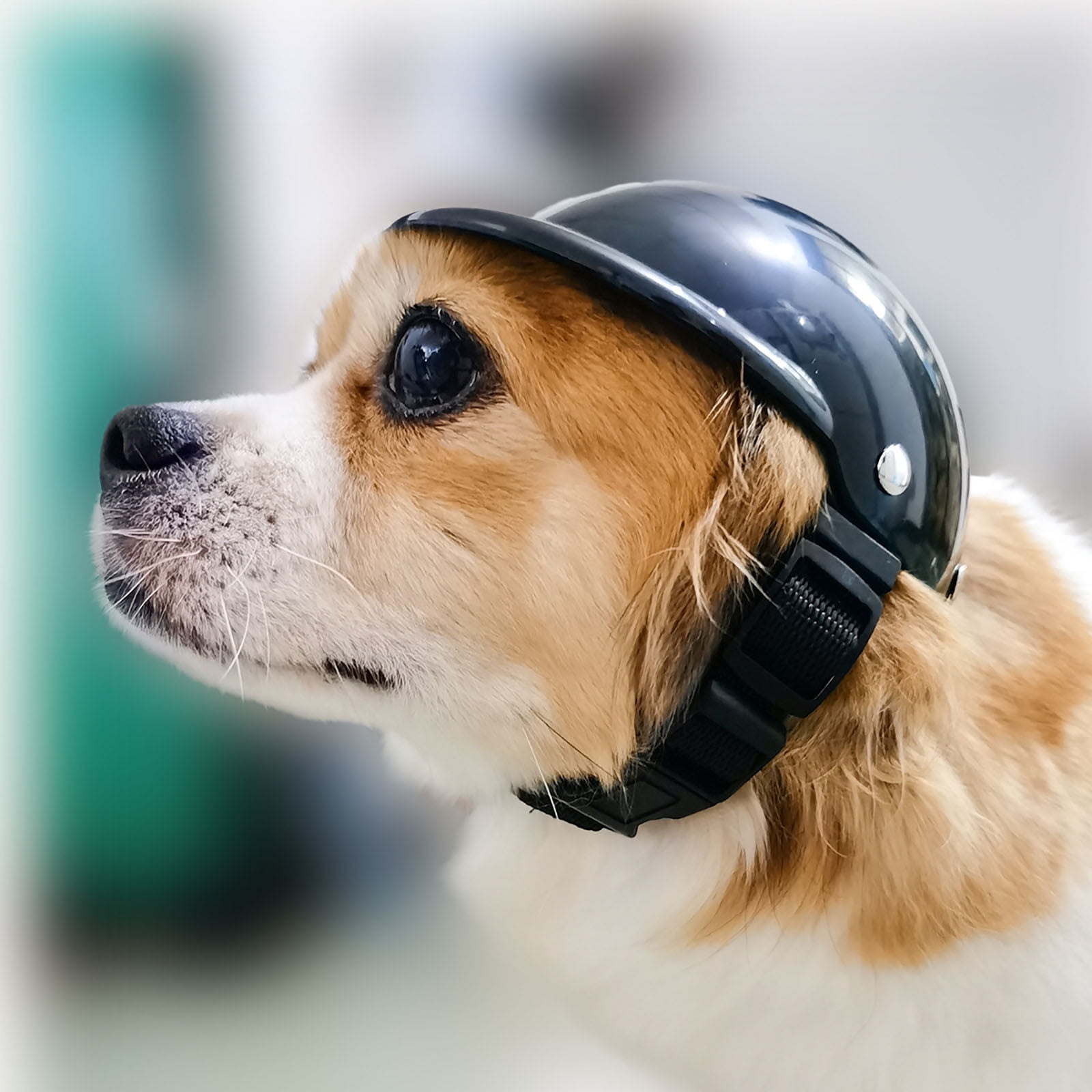 Motorcycle Riding Safety Adjustable Pet Helmet for Dogs Cats ...