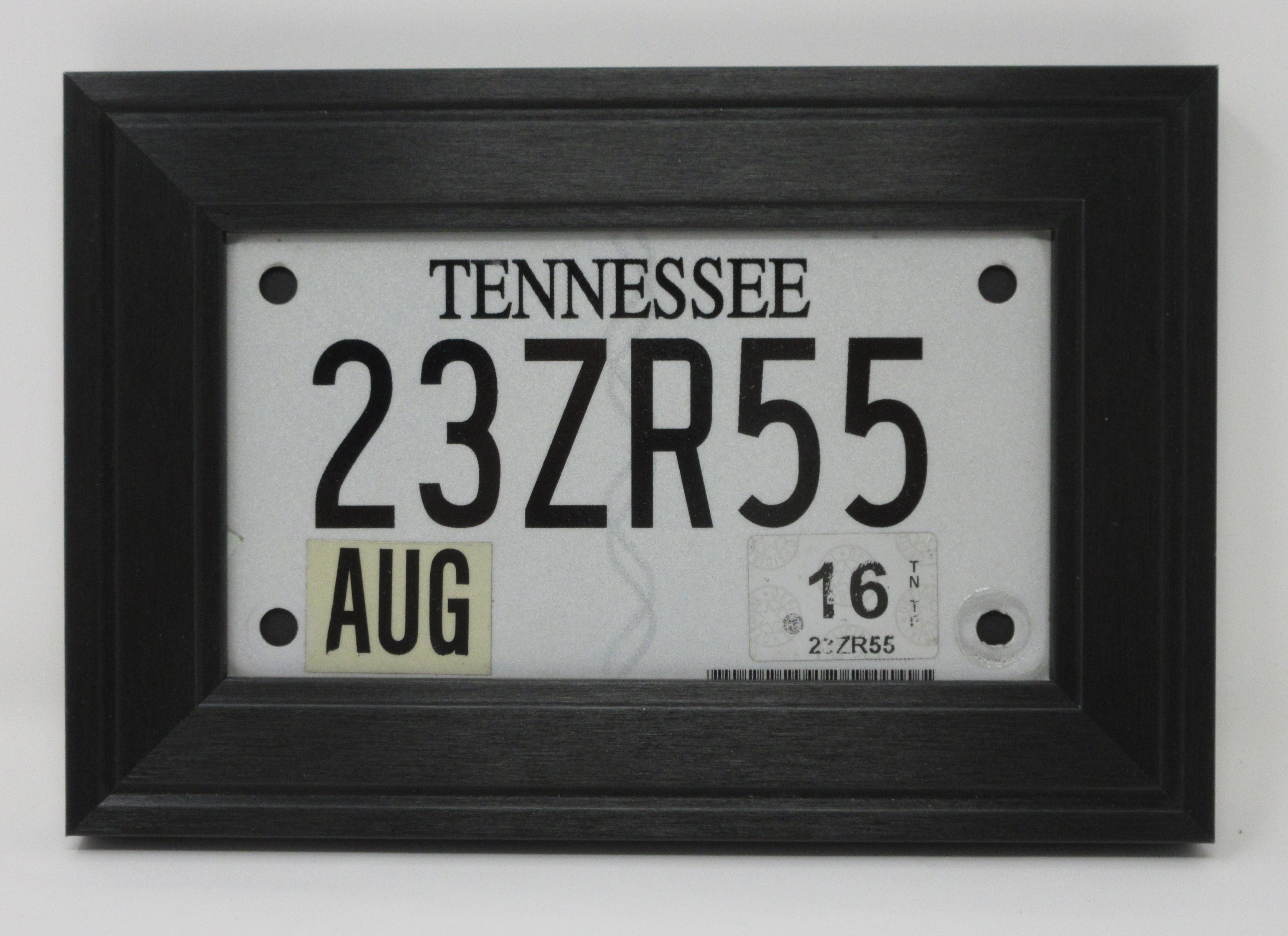 Motorcycle or Golf Cart License Plate Tag (Not Included) Wall Display ...