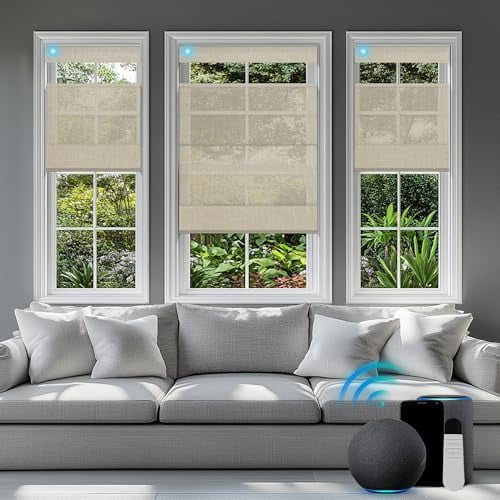 Motorized Blinds with Remote,Top Down Bottom up Roman Shades,Smart ...