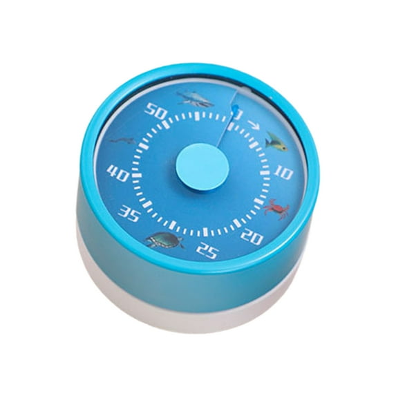 Mount 60-Minute Timer with Clear Visual Display for Kitchen/Study Use ...