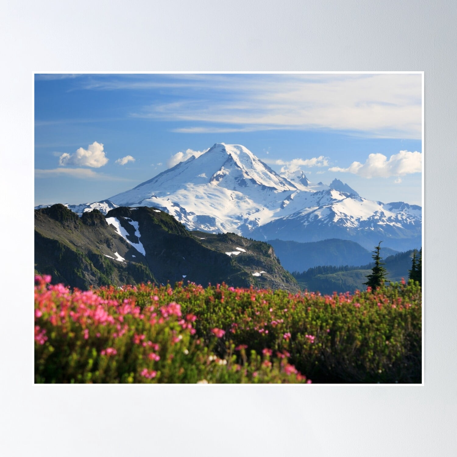 Mount Baker From The Tomyhoi Peak Trail, Mount Baker Wilderness ...