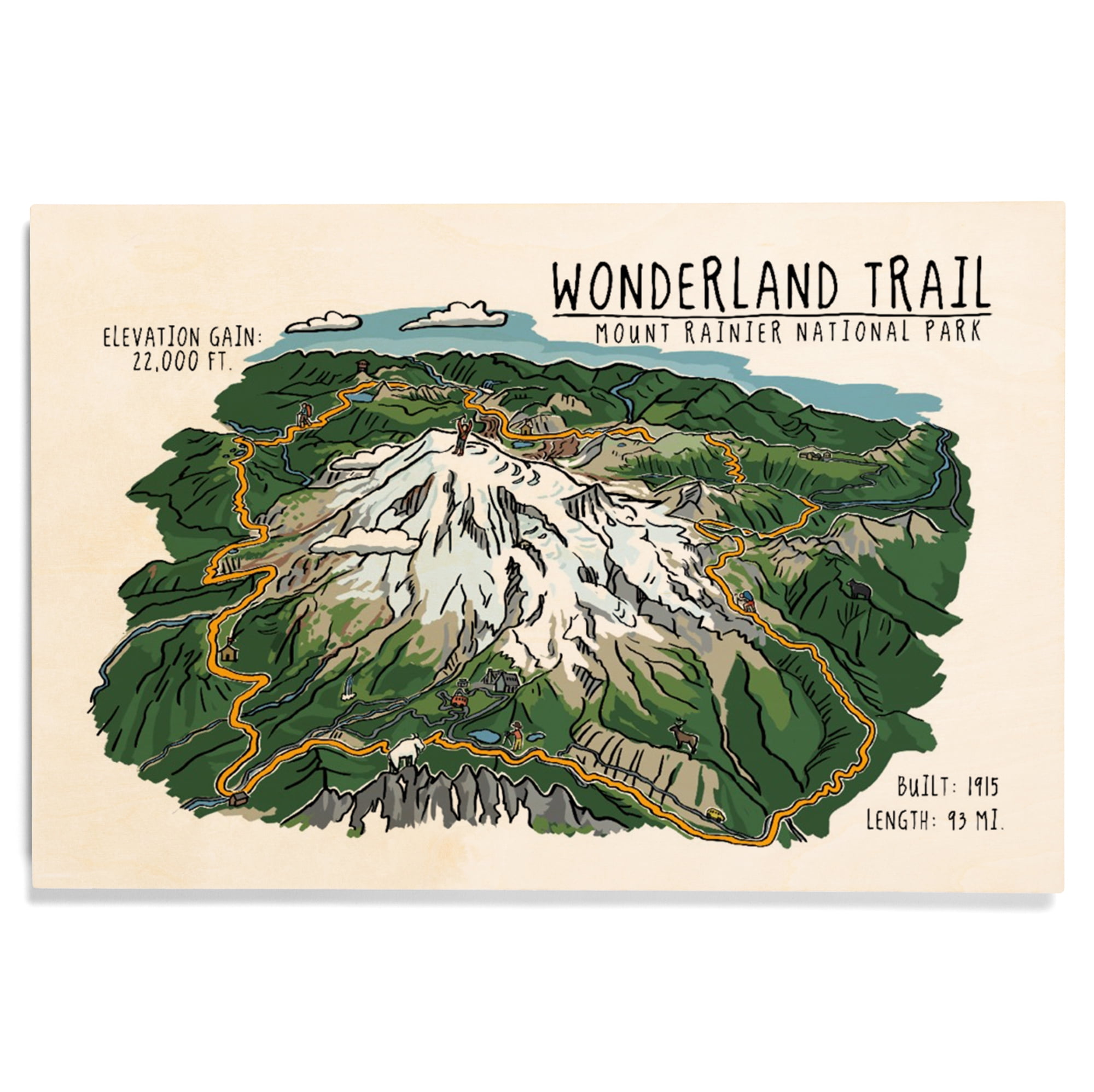 Mount Rainier National Park, Line Drawing, Wonderland Trail Birch Wood ...