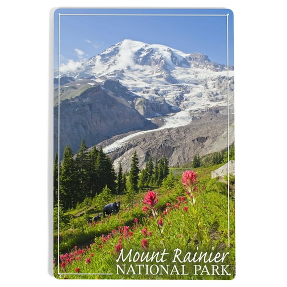 Mount Rainier National Park, Mountain and Bear Family (12x18 Aluminum ...