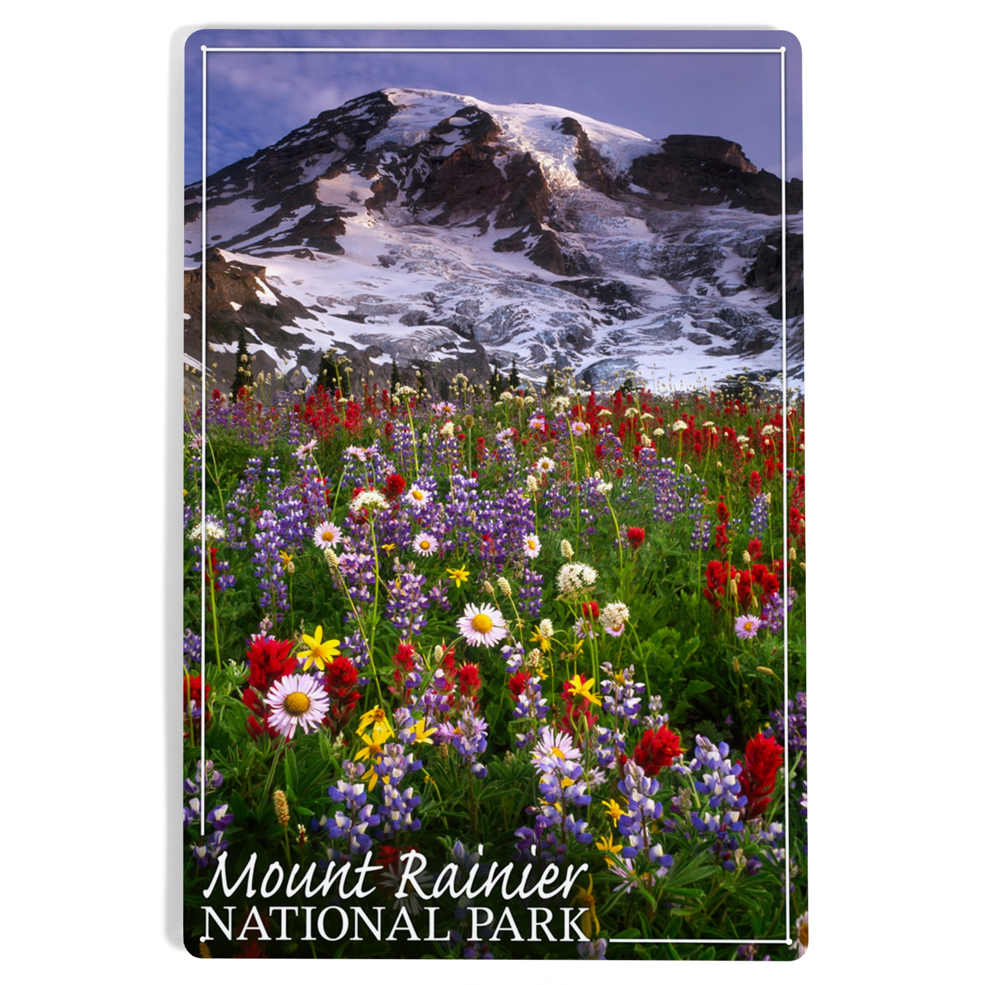 Mount Rainier National Park, Mountain and Spring Flowers (12x18 ...