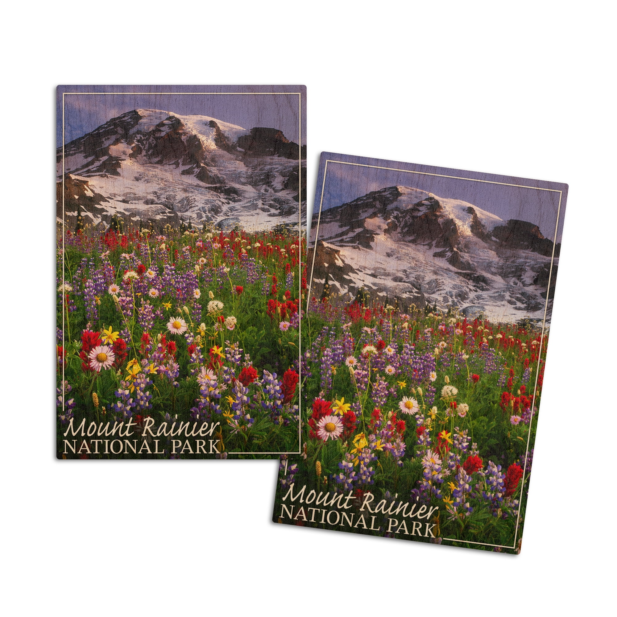 Mount Rainier National Park, Mountain and Spring Flowers (4x6 Birch ...