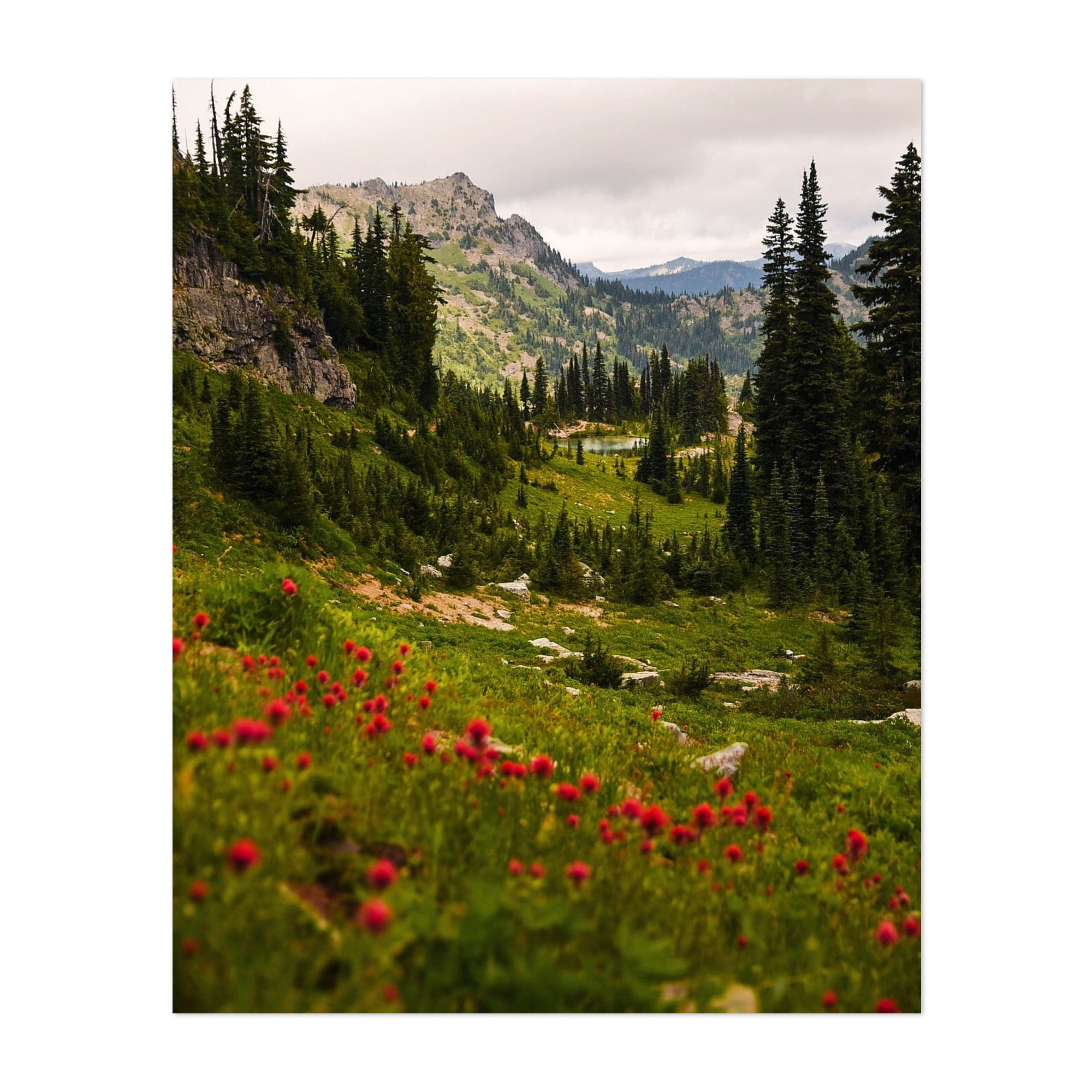 Mount Rainier National Park - Washington Photography Unframed Wall Art ...
