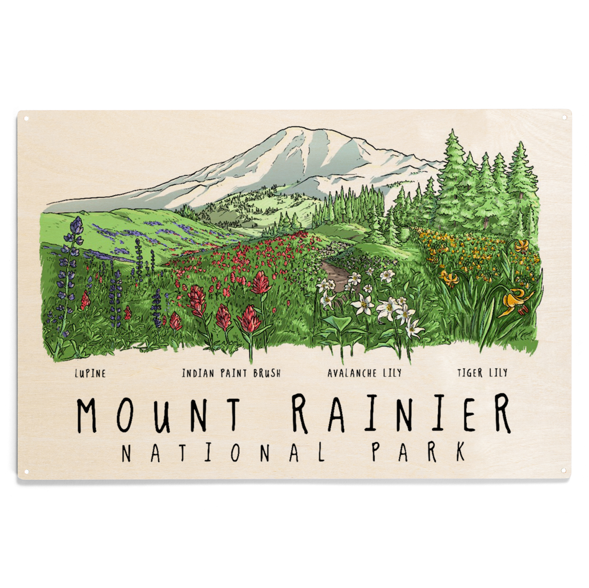 Mount Rainier National Park, Washington, Wildflower Montage Birch Wood ...