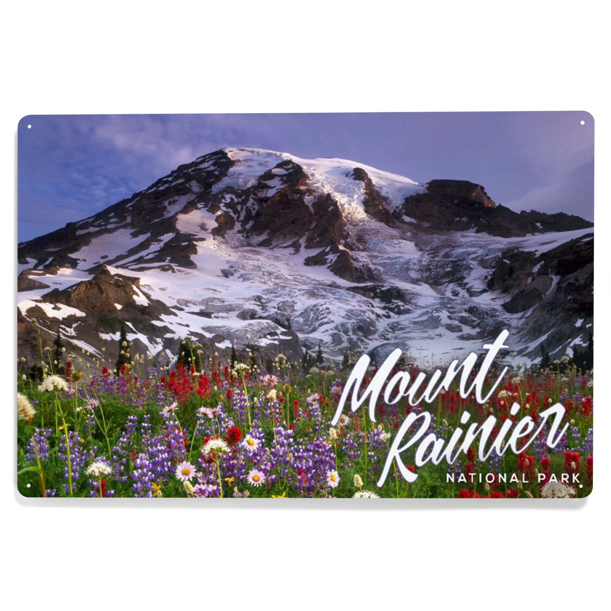 Mount Rainier National Park, Wildflowers and Mountain (12x18 Aluminum ...