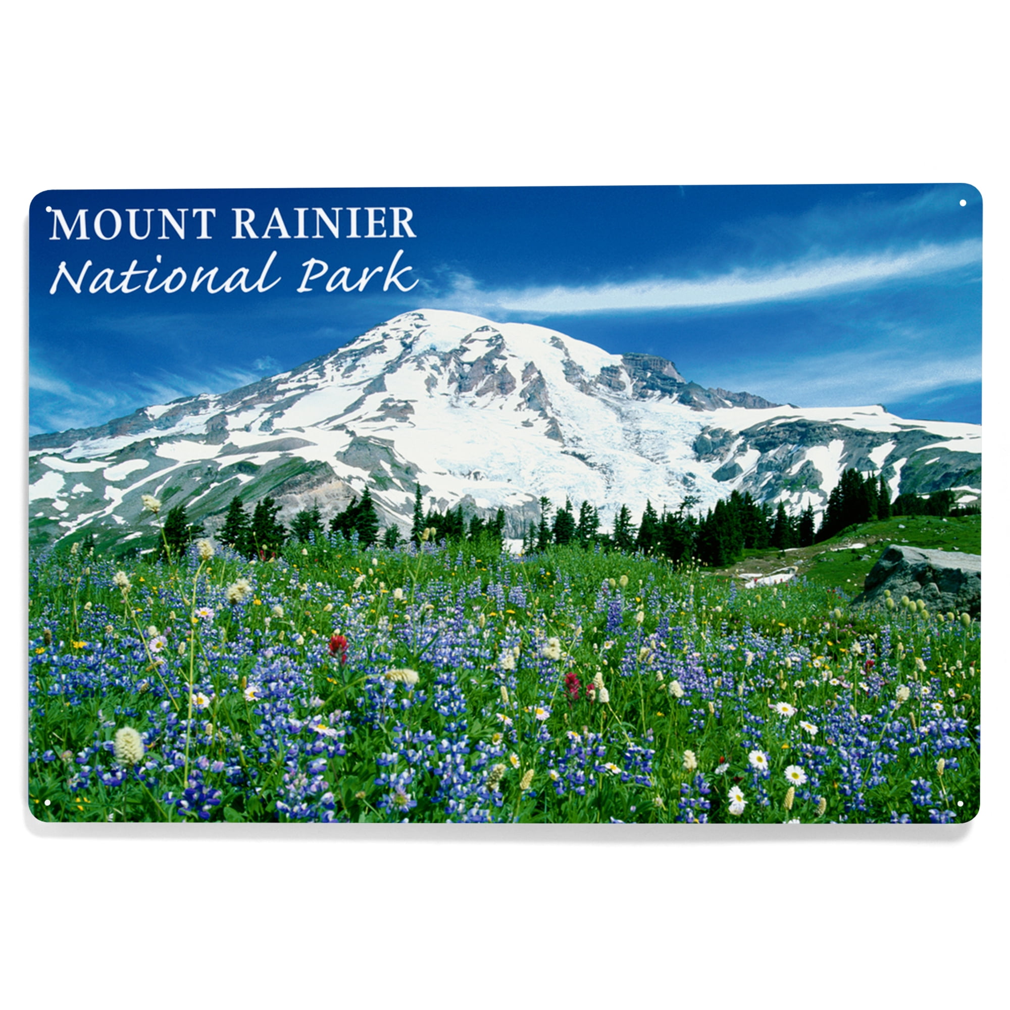 Mount Rainier Spring Flowers (12x18 Aluminum Art, Indoor Outdoor Metal ...