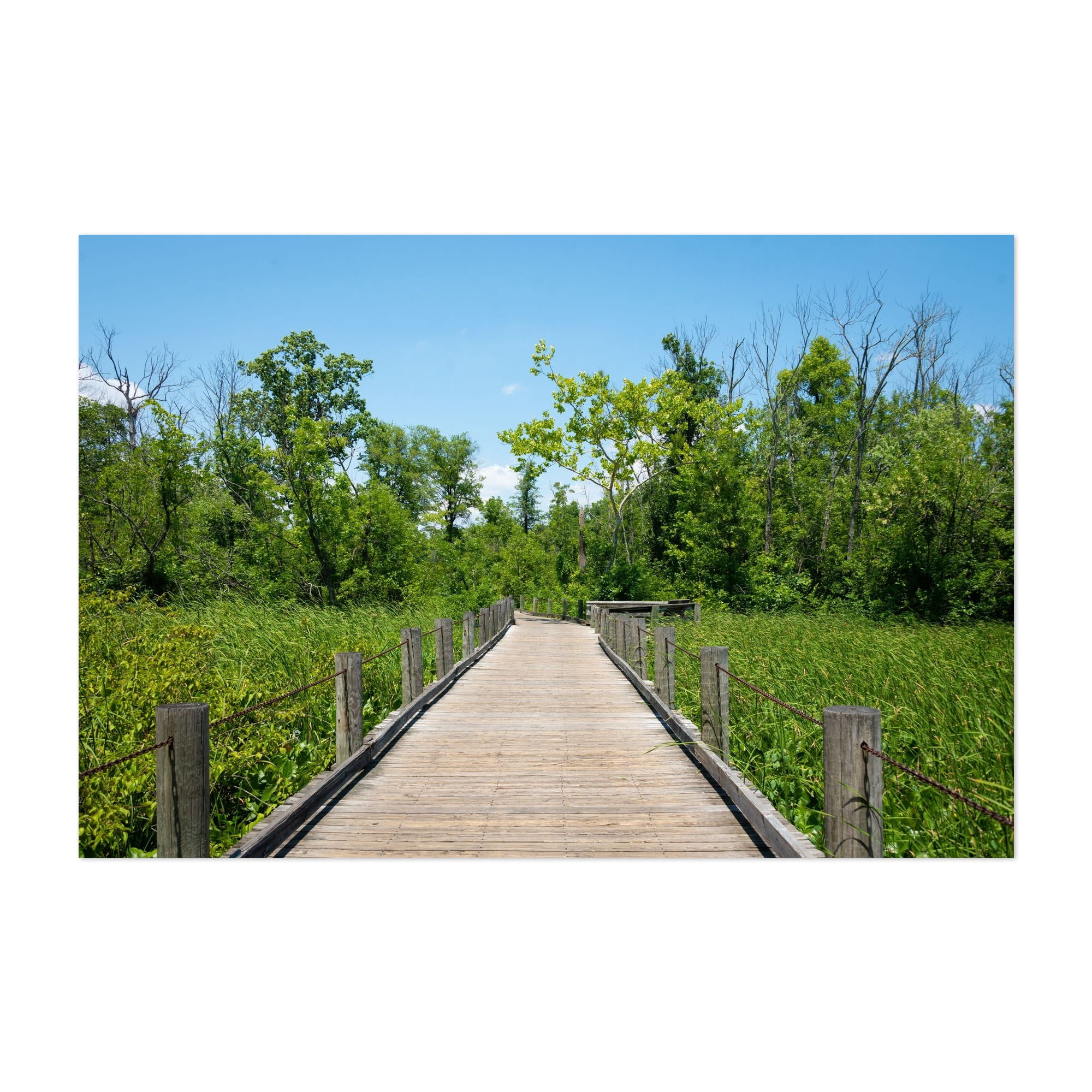 Mount Vernon Trail, Alexandria 02 - Alexandria Virginia Photography ...