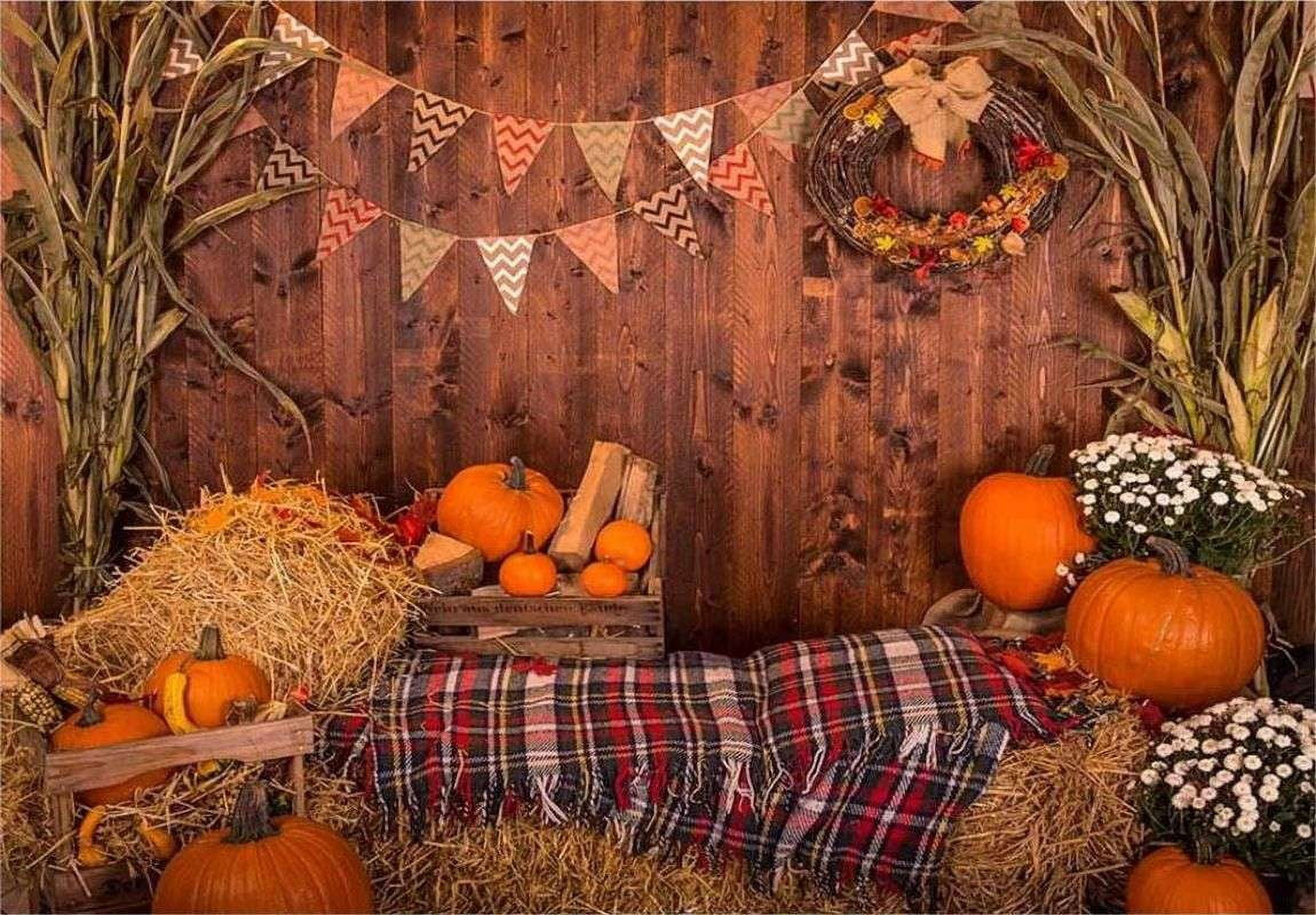 Mountain Autumn Backdrop Temple Red Maple Leaf Fall Photography ...