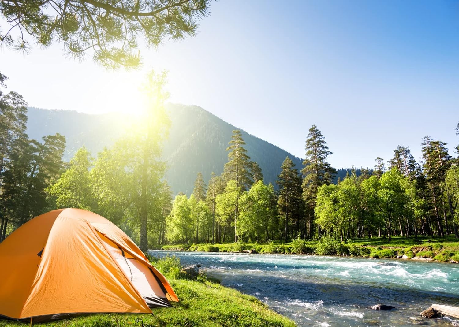 Mountain Forest Camping Nice Backdrop Sunshine Outdoor Travel Hiking ...