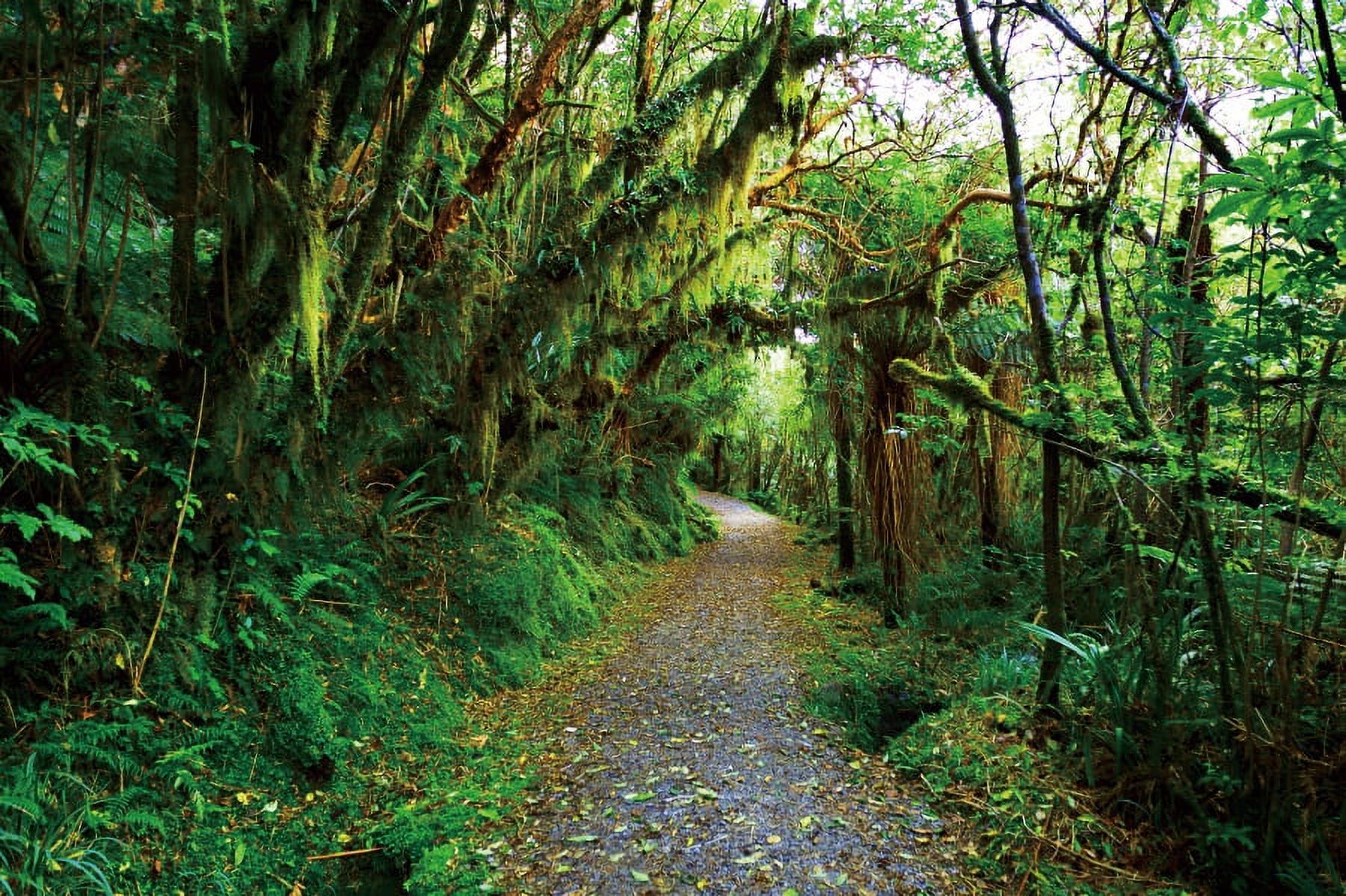 Mountain Forest Lake Backdrop Clouds Blue Sky Outdoor Realistic Nature ...