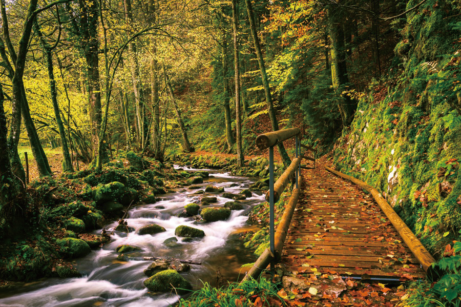 Mountain Forest Lake Backdrop Clouds Blue Sky Outdoor Realistic Nature ...