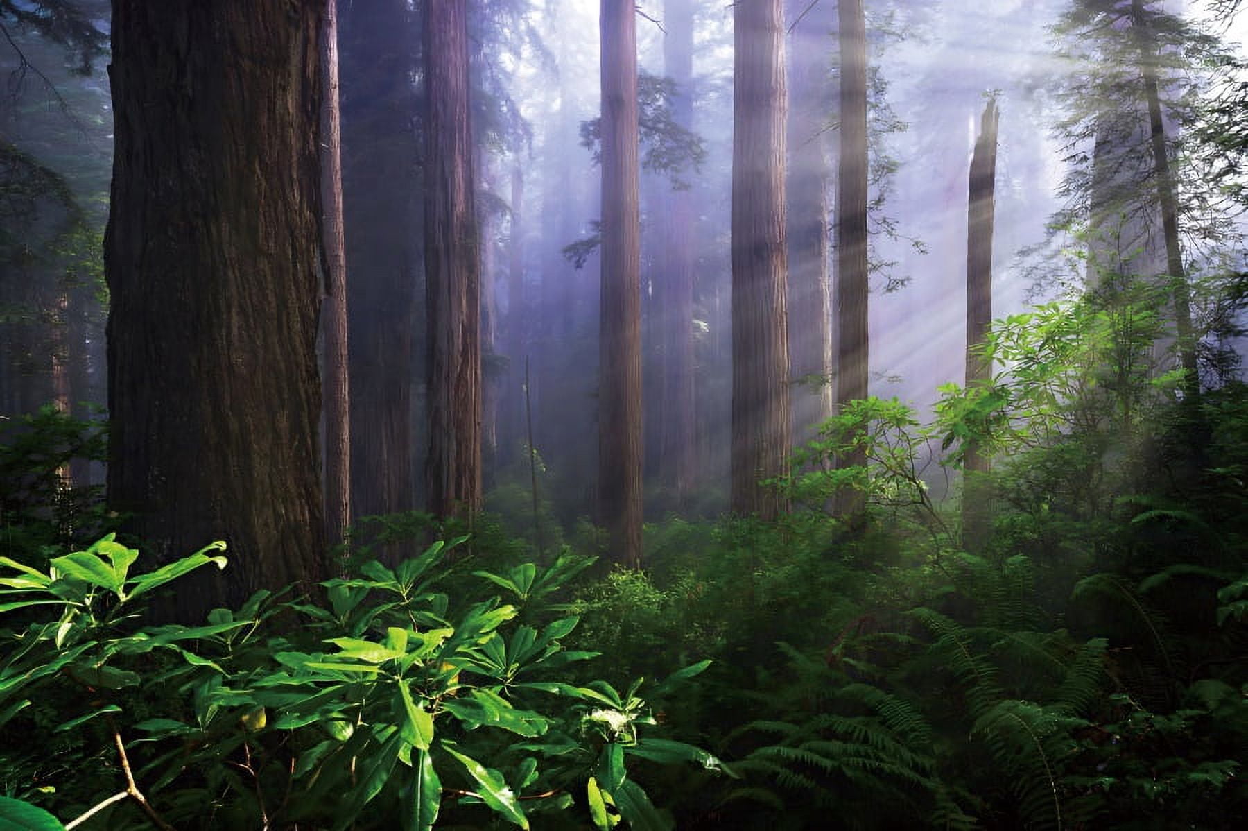 Mountain Forest Lake Backdrop Clouds Blue Sky Outdoor Realistic Nature ...