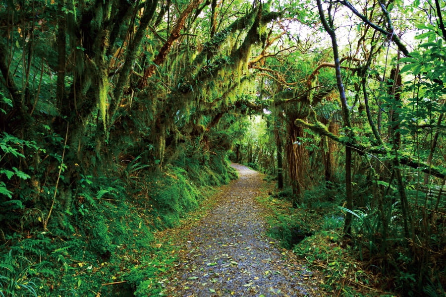 Mountain Forest Lake Backdrop Clouds Blue Sky Outdoor Realistic Nature ...