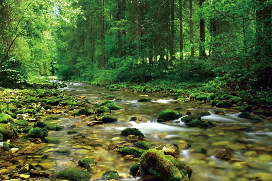 Mountain Forest Lake Backdrop Clouds Blue Sky Outdoor Realistic Nature ...