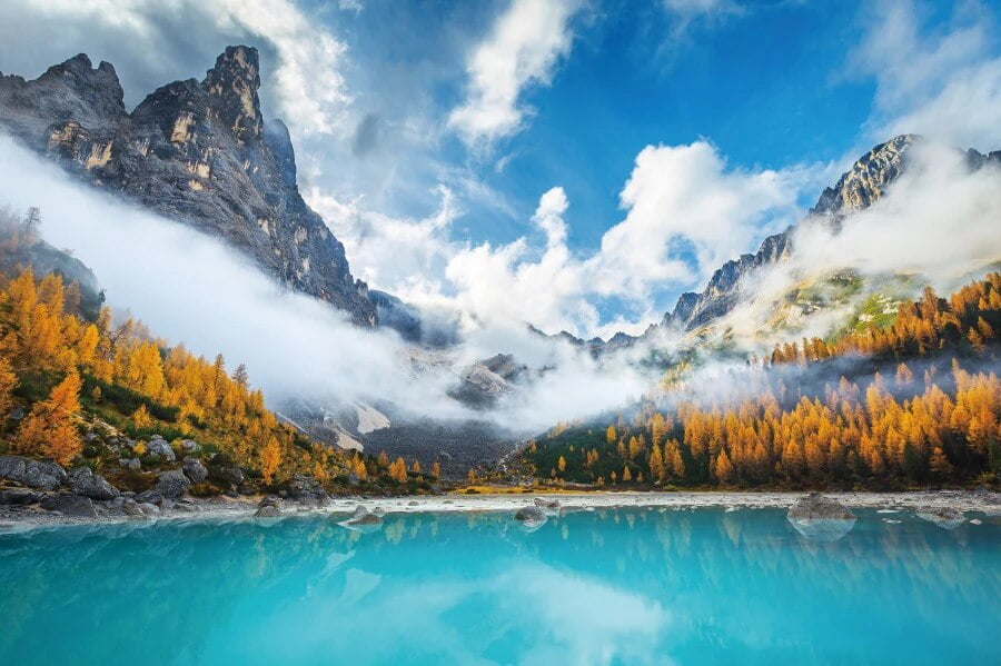 Mountain Forest Lake Photography Backdrop Banff National Park Canadian ...