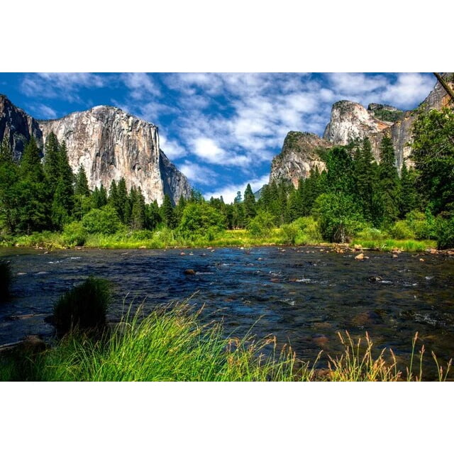 Mountain Forest Lake Photography Backdrop Banff National Park Canadian ...
