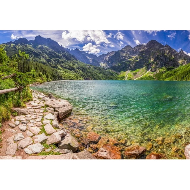 Mountain Forest Lake Photography Backdrop Banff National Park Canadian ...