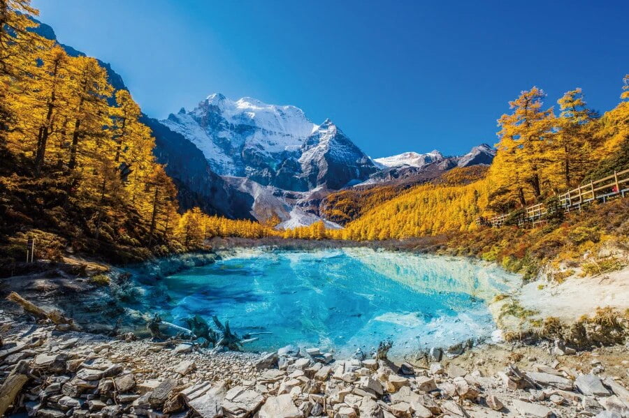 Mountain Forest Lake Photography Backdrop Banff National Park Canadian ...