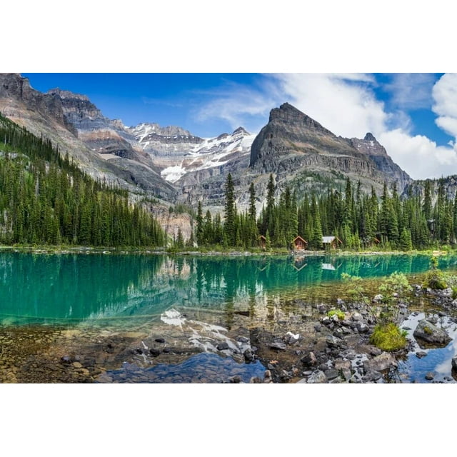 Mountain Forest Lake Photography Backdrop Banff National Park Canadian ...