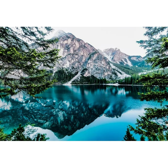 Mountain Forest Lake Photography Backdrop Banff National Park Canadian ...