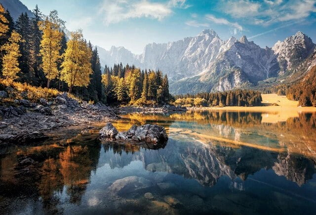 Mountain Forest Lake Photography Backdrop Banff National Park Canadian ...