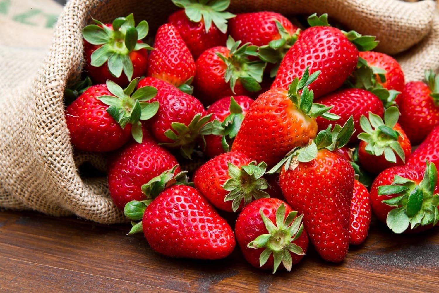 Mountain Jewels Strawberry Plants - Grow Giant Strawberries - Bare Root ...