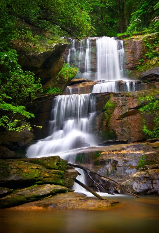 Mountain Lake Backdrop Woodland Green Jungle Forest Waterfall Nature ...