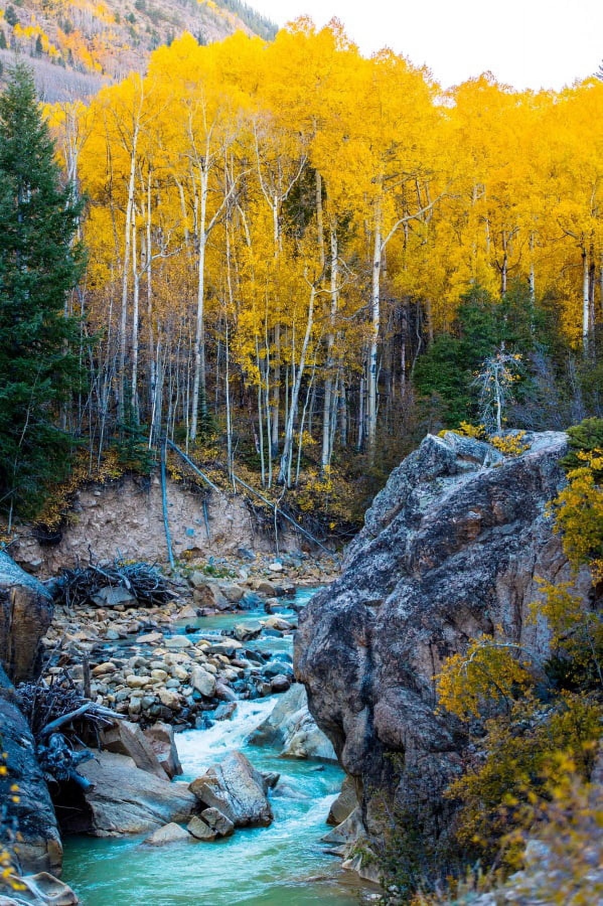 Mountain Lake Backdrop Woodland Green Jungle Forest Waterfall Nature ...