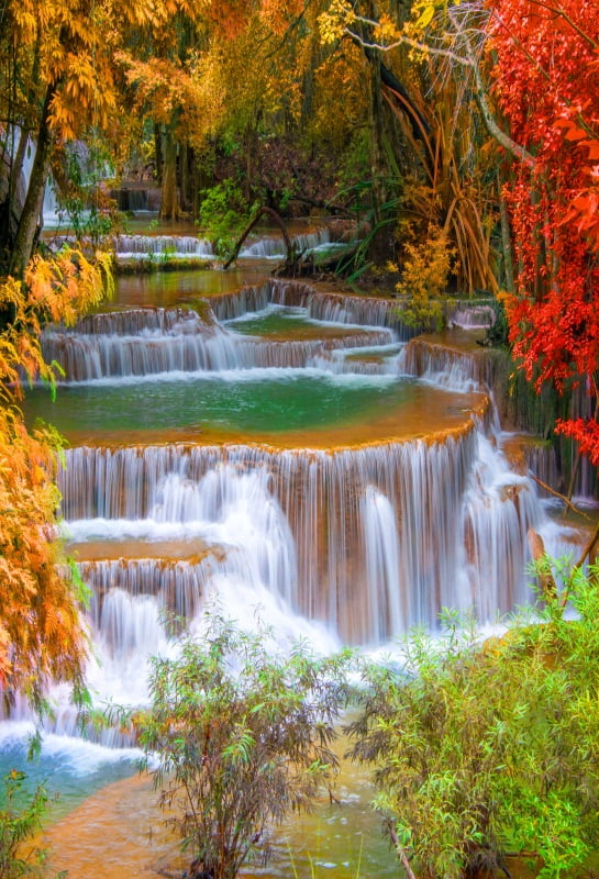 Mountain Lake Backdrop Woodland Green Jungle Forest Waterfall Nature ...
