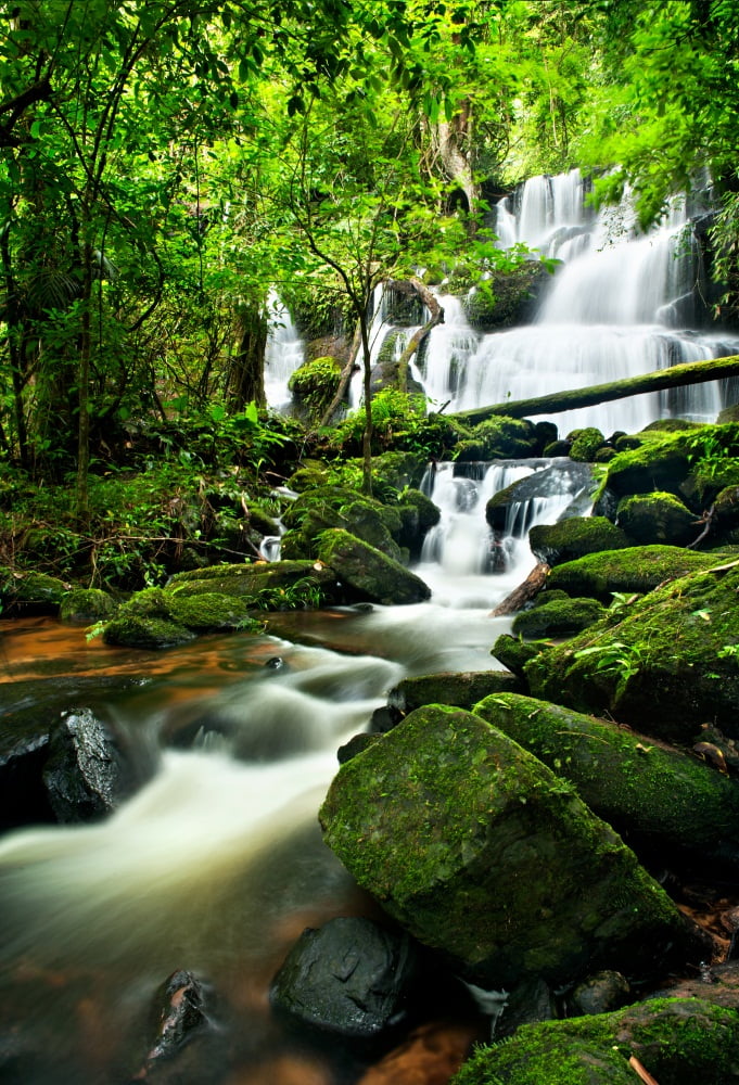 Mountain Lake Backdrop Woodland Green Jungle Forest Waterfall Nature ...