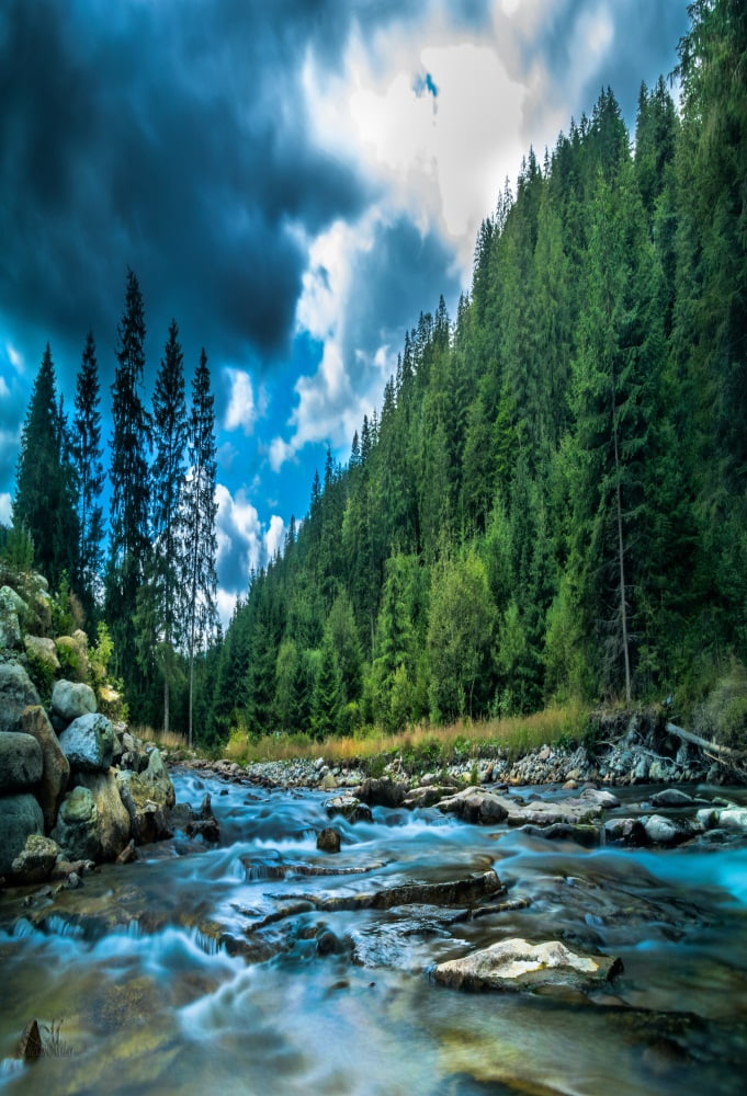 Mountain Lake Backdrop Woodland Green Jungle Forest Waterfall Nature ...