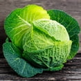 Cabbage Seeds - Savoy Perfection - 4 g Packet ~900 Seeds - Non-GMO ...