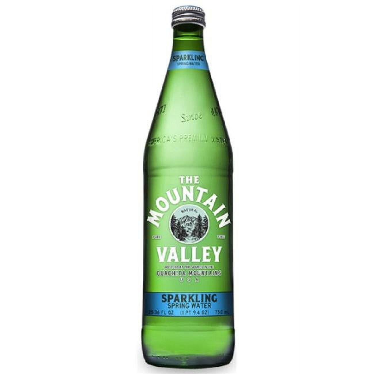 Mountain Valley Sparkling Spring Water, 25.36 Fl. Oz. - Walmart ...
