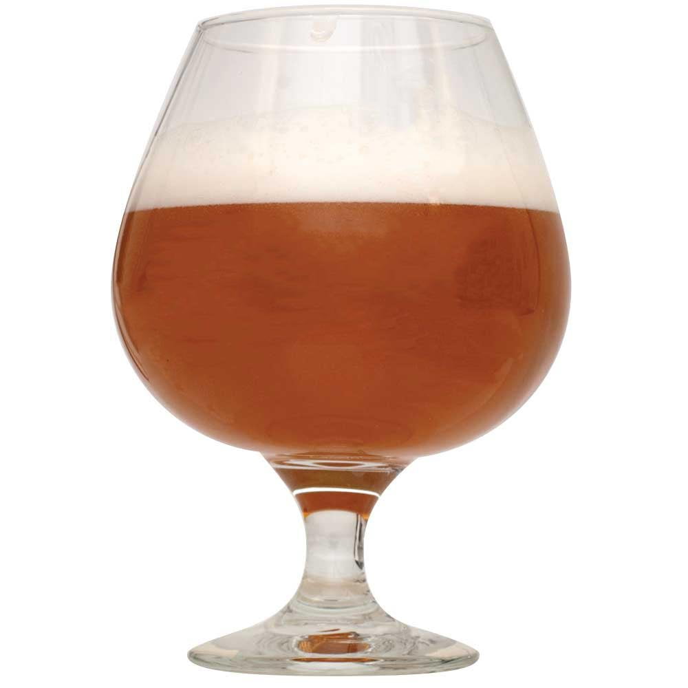 Mountains West IPA India Pale Ale Extract Recipe Kit Makes 5 Gallons ...