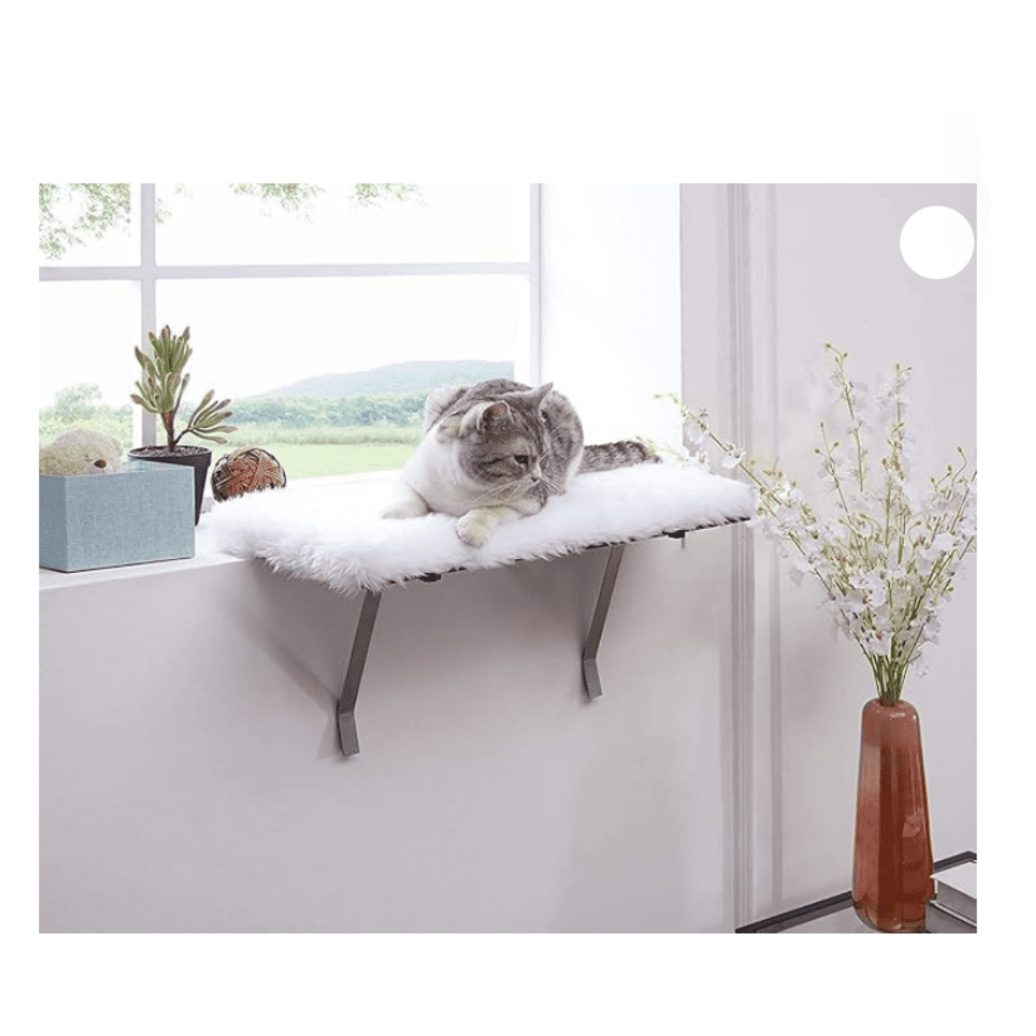 -Mounte Shelf Be for cat-Funny S p DIY Sill Window Perch- Washable Foam ...