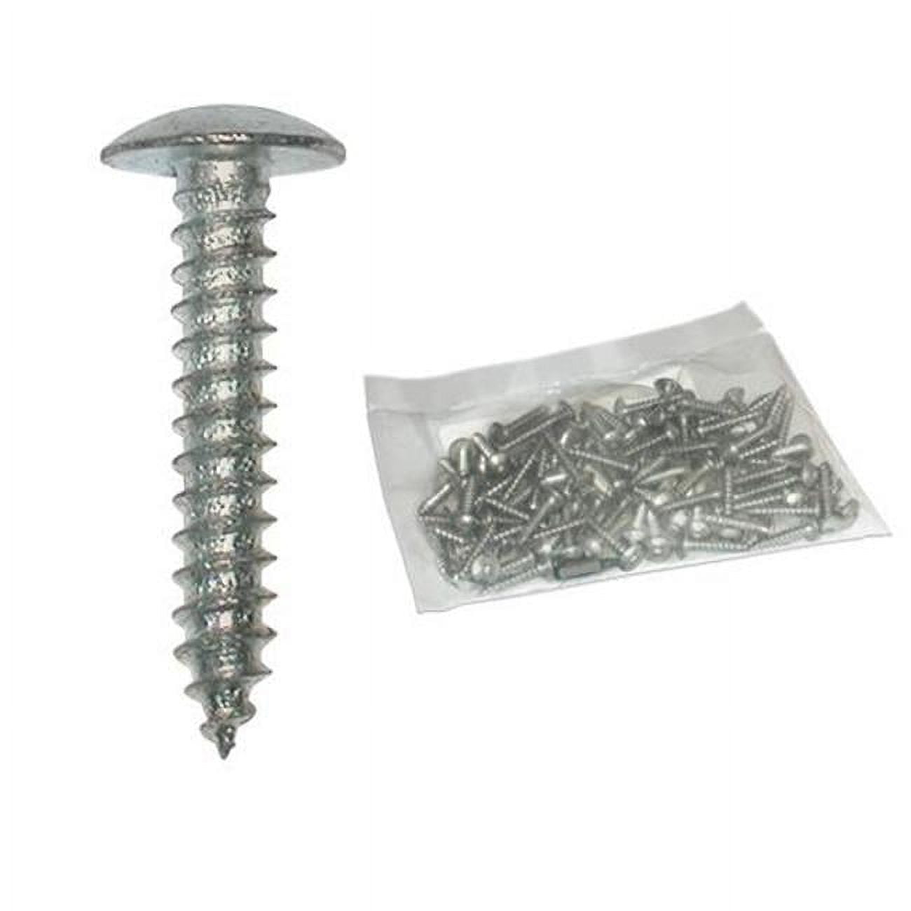 Mounting Screws - Stainless Steel - Walmart.com