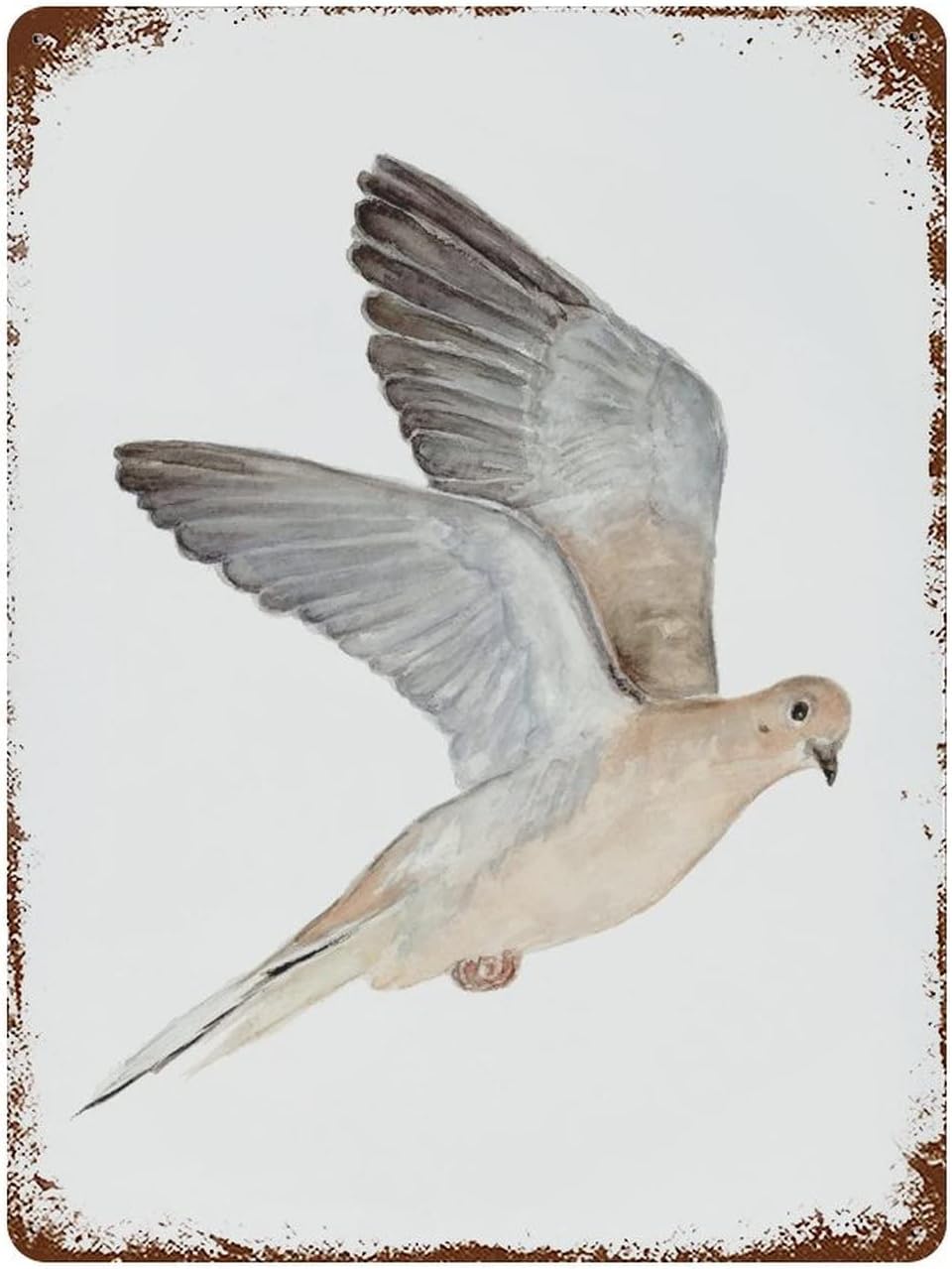 Mourning Dove Bird Vintage Metal Plaque Sign Retro Poster Vintage Metal ...