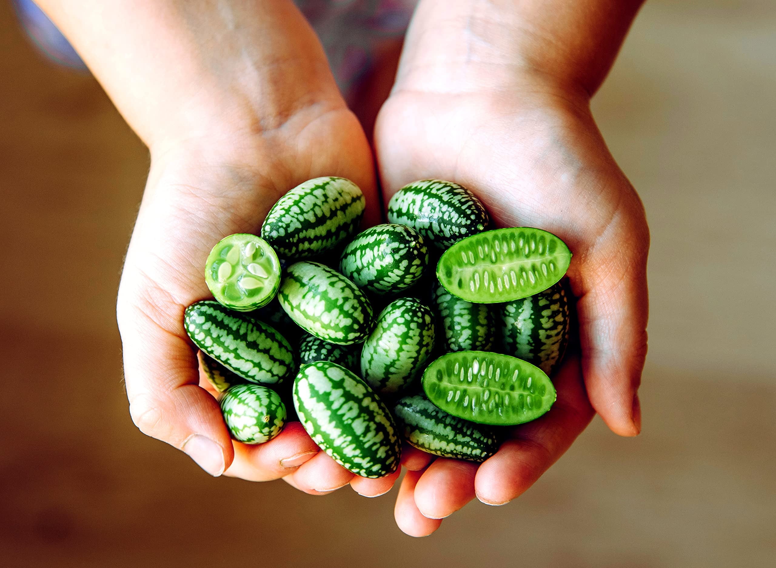 Mouse Melon Seeds | 20 Seeds | Grow This Exotic and Rare Garden Fruit ...