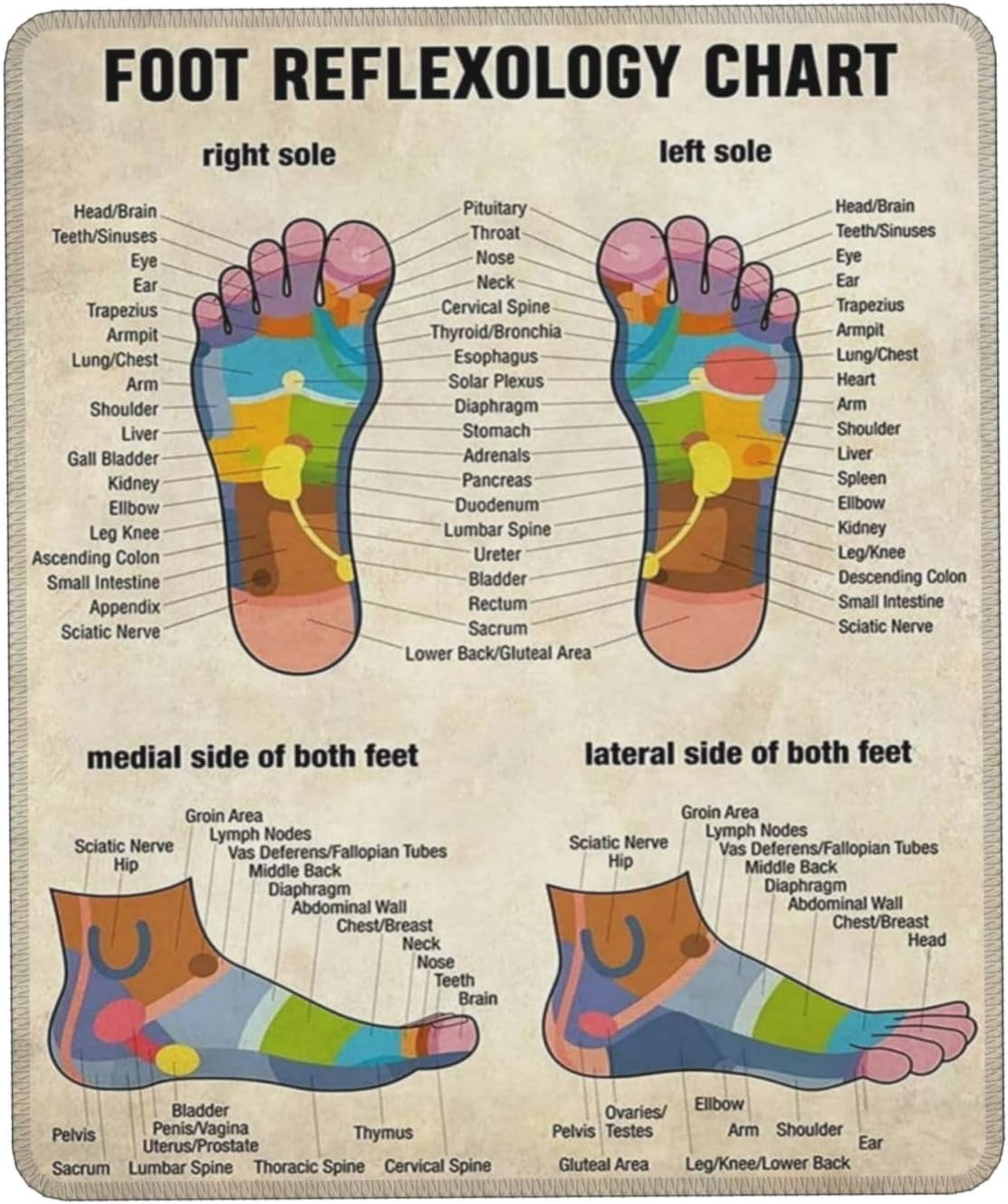 Mouse Pad 10x12 Inch Foot Reflexology Chart Infographic Massage ...